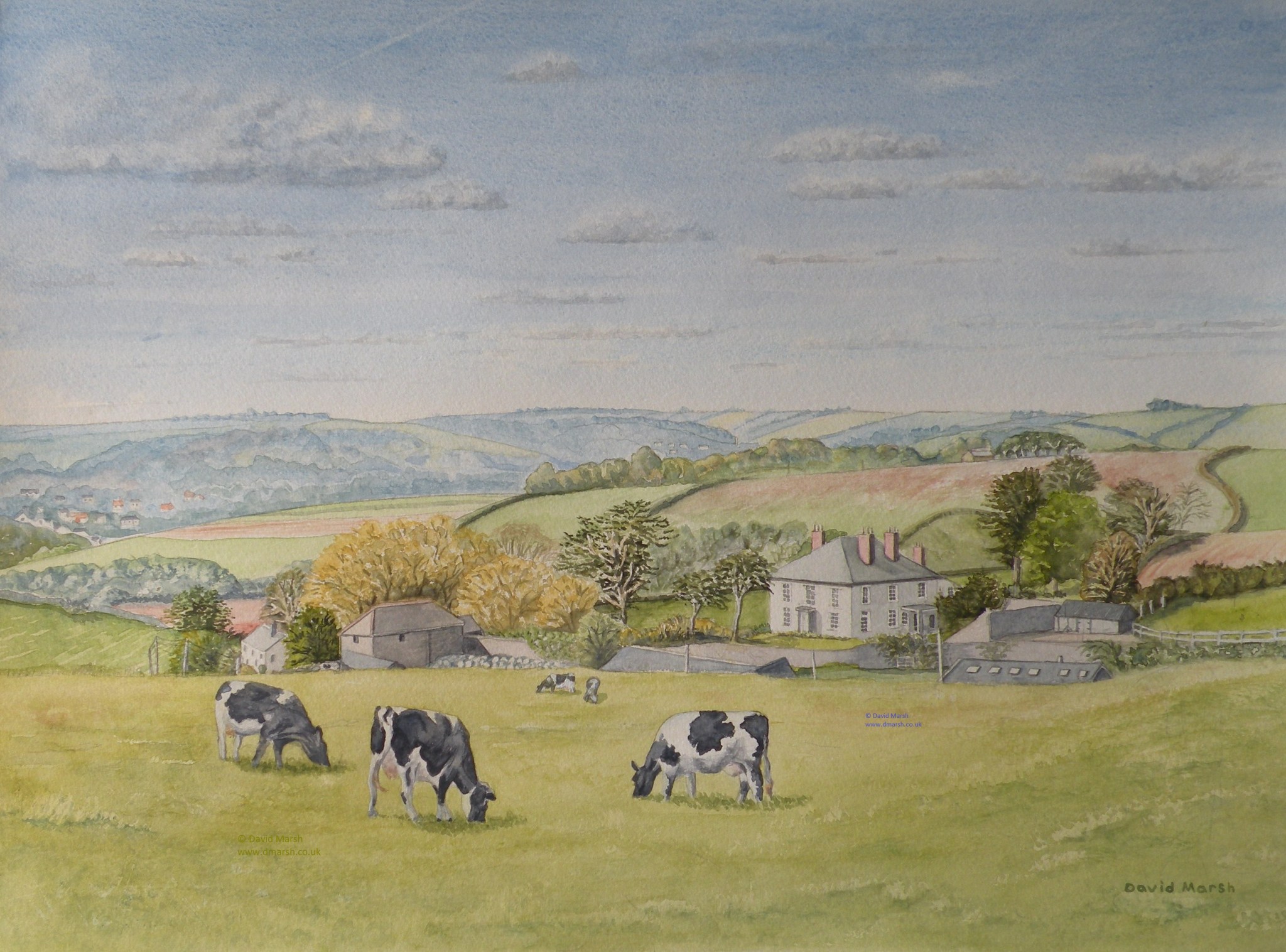 Countryside – David Marsh, Artist