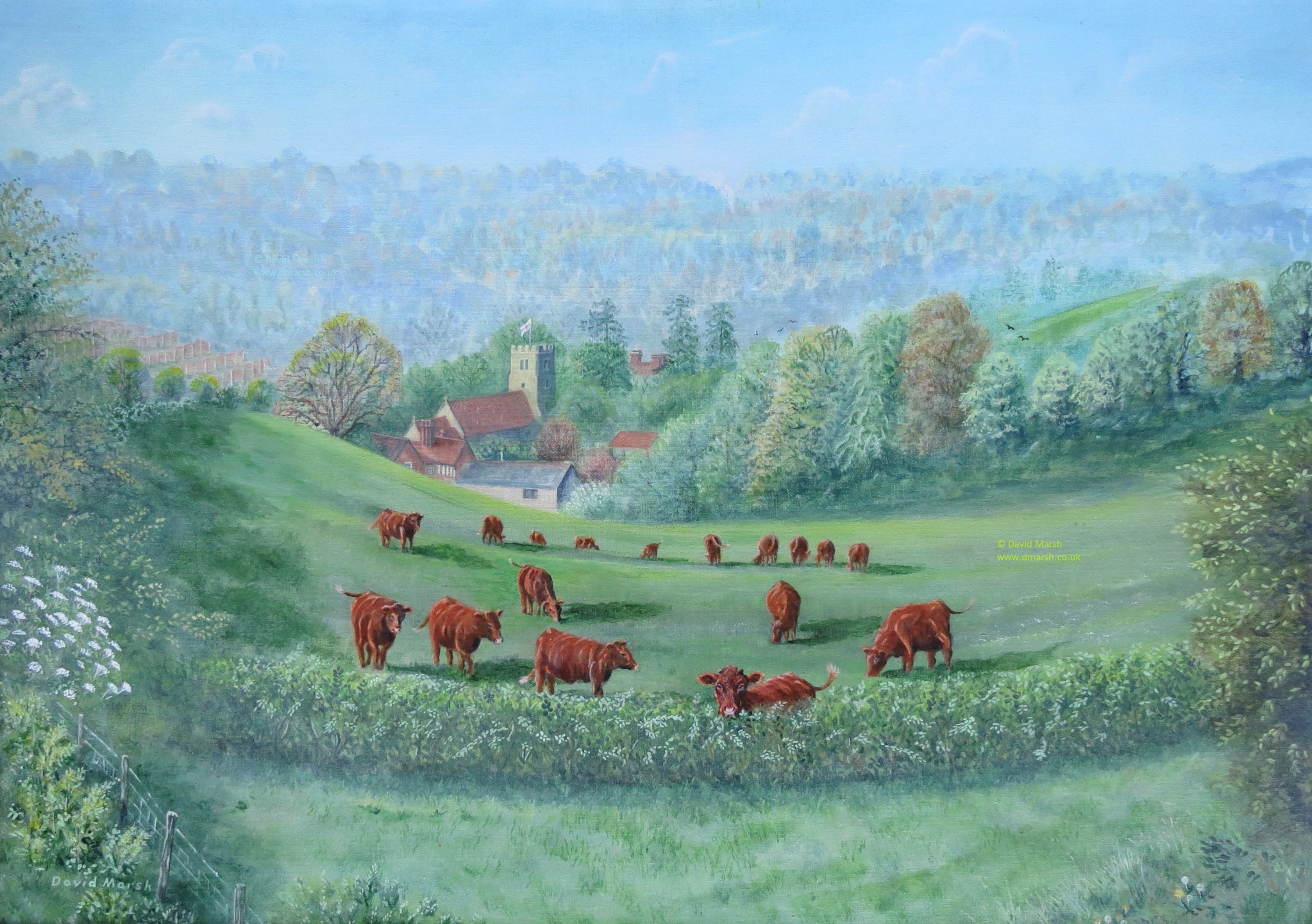 Countryside – David Marsh, Artist