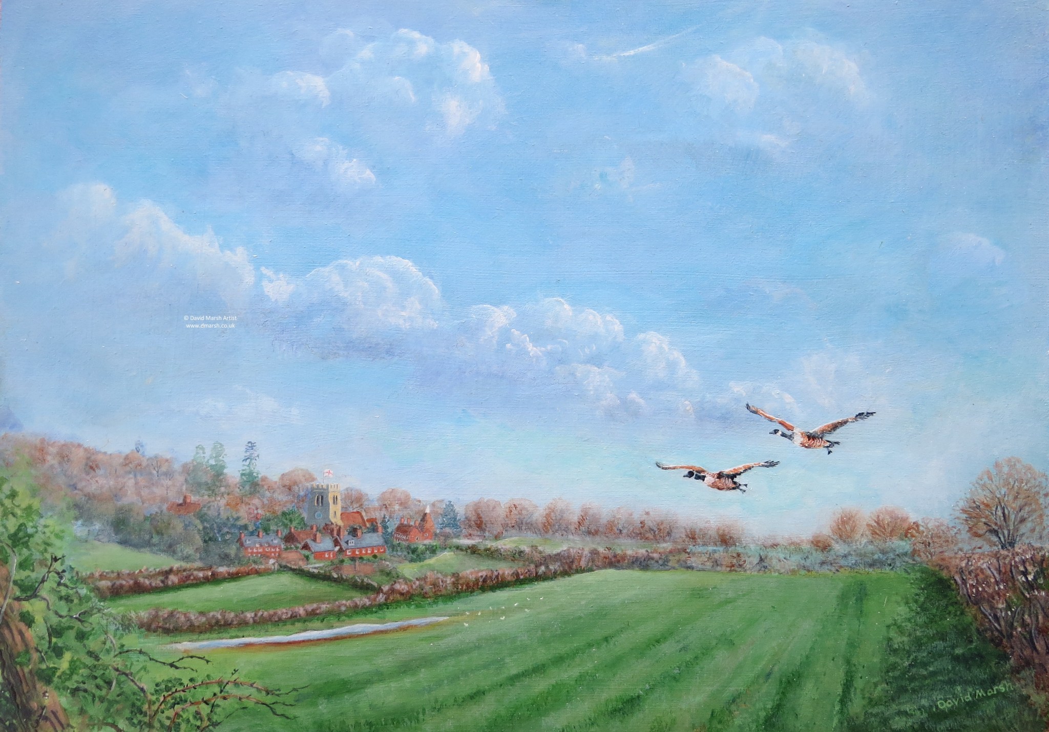 Countryside – David Marsh, Artist