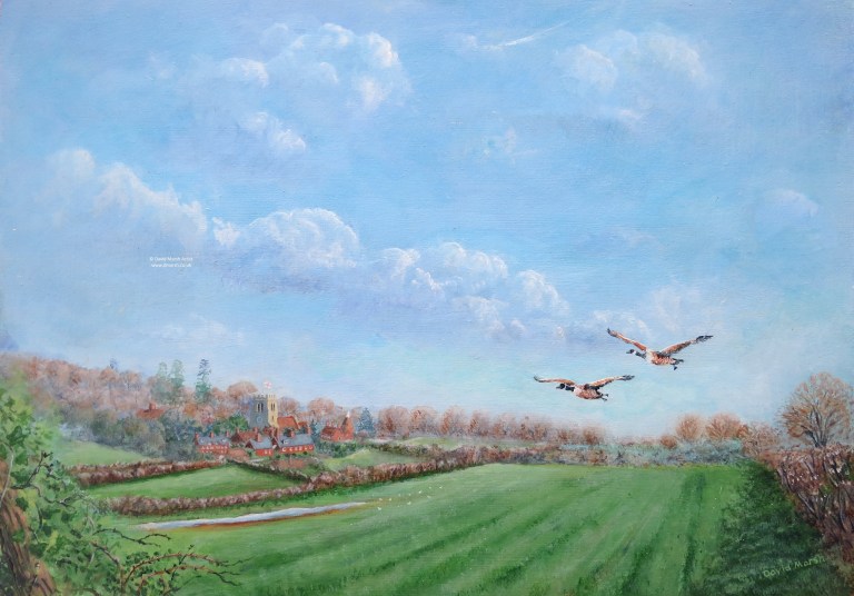 Countryside – David Marsh, Artist